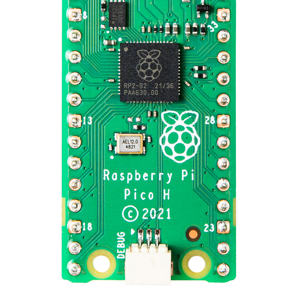 Raspberry Pi Pico H – Microbot México